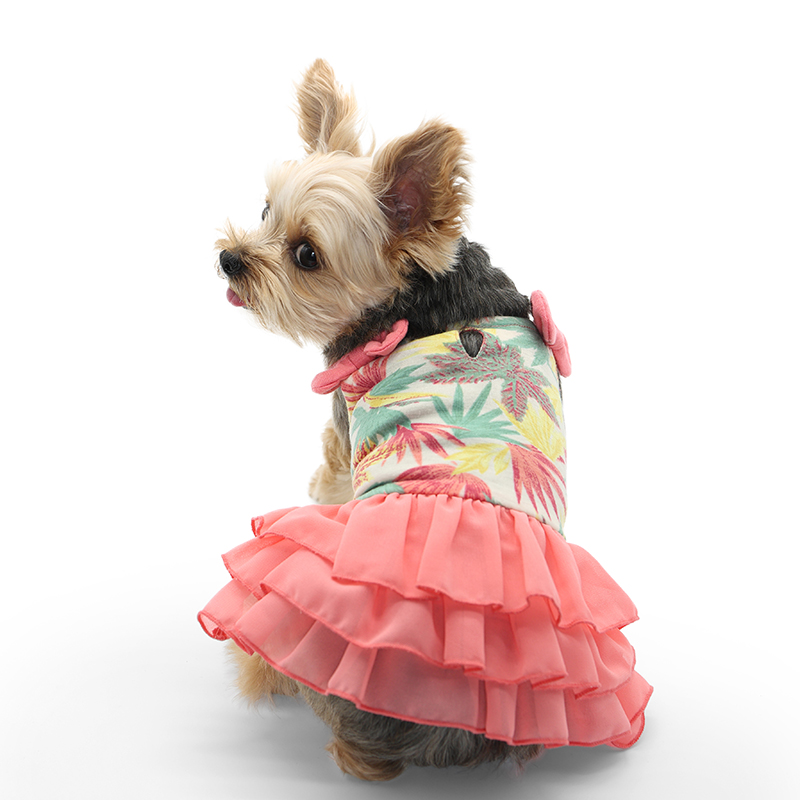 DOGO Pet Fashions