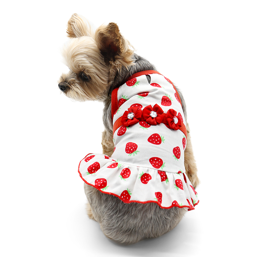 DOGO Pet Fashions